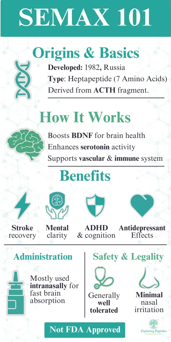 What is Semax? Benefits, Uses & More - Exploring Peptides